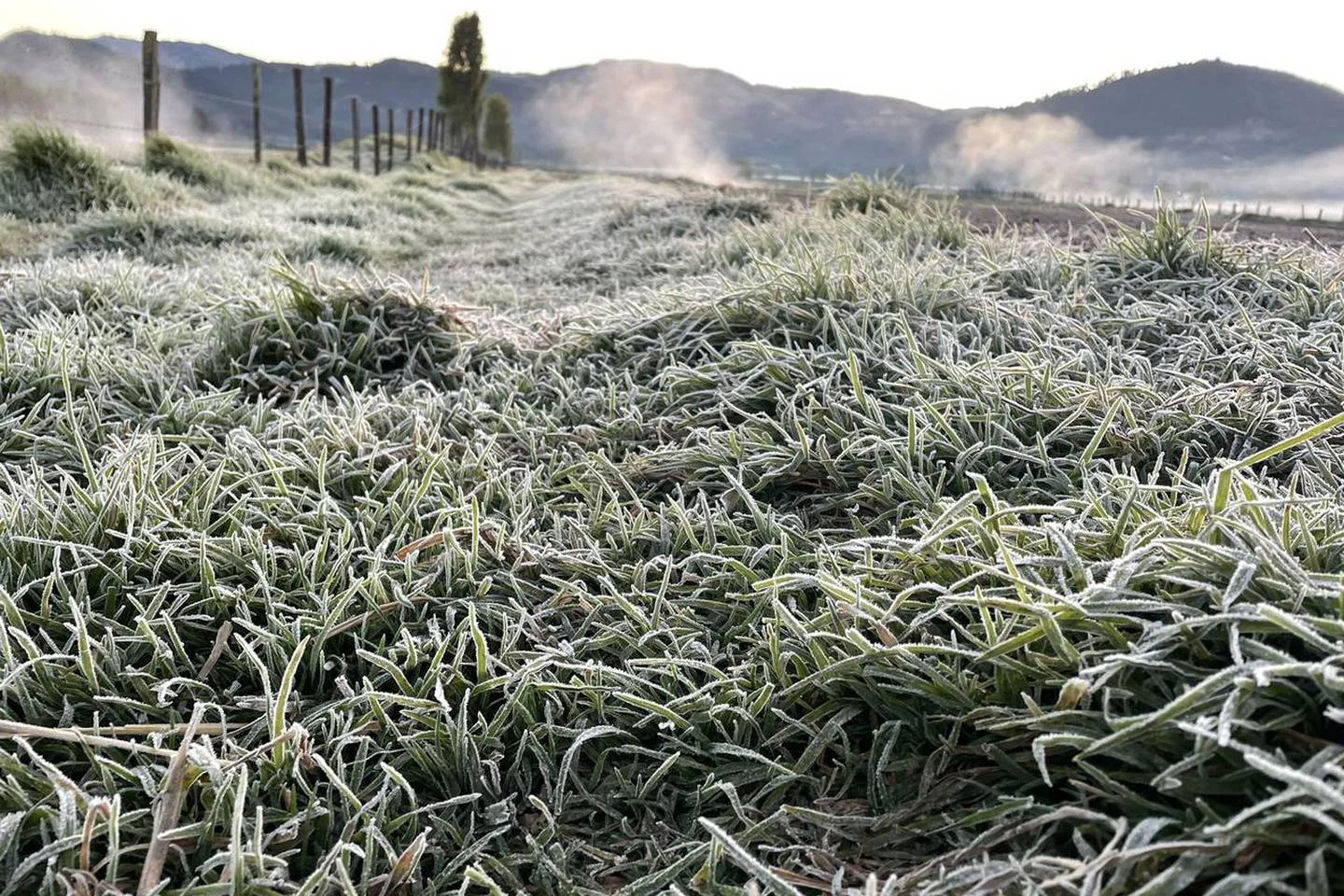 Heladas en Boyacá: Un desafío recurrente para la agricultura y ...